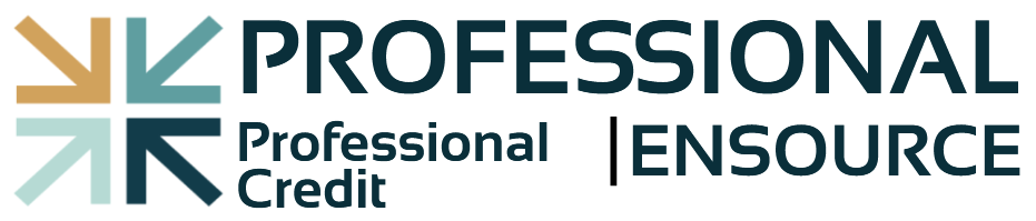 Bilingual Credit Representative (remote Houston, TX)