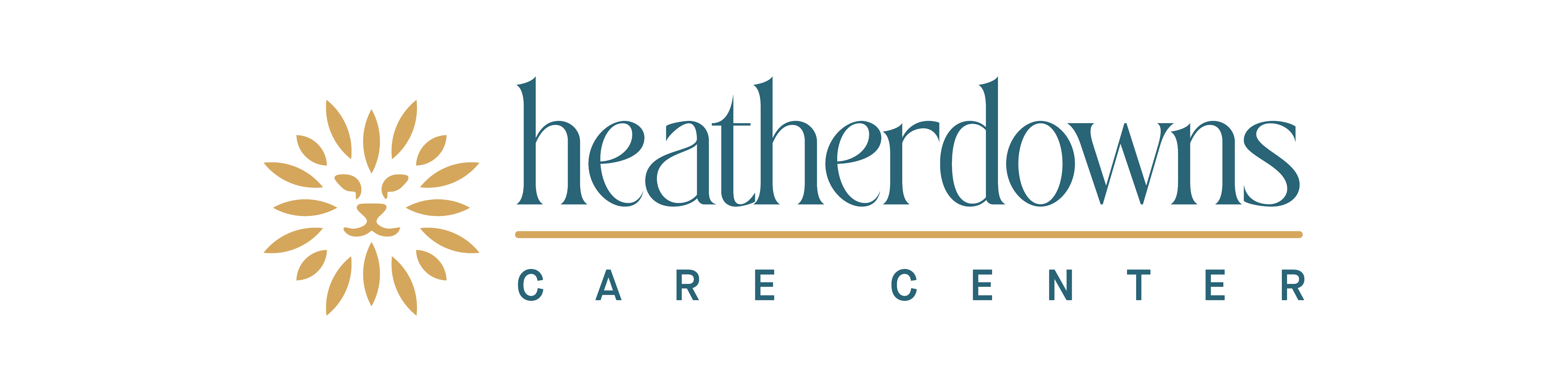 Social Services Director