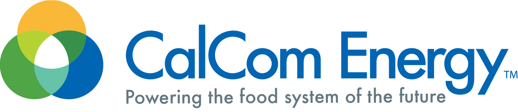 A/P Specialist and Accountant